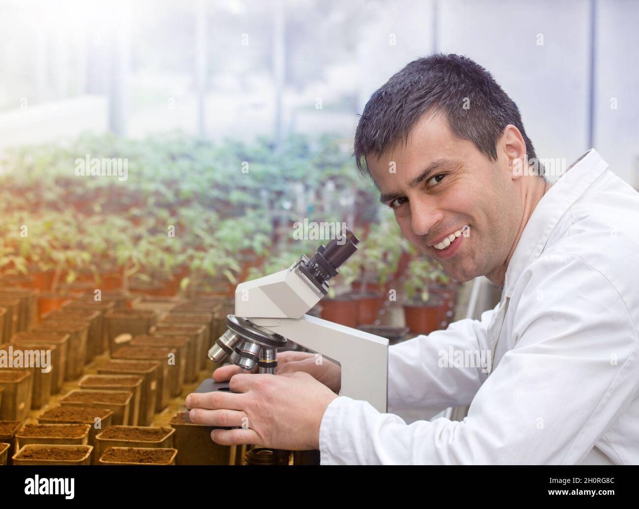 Microscope bacteria growth hi-res stock photography and images - Alamy