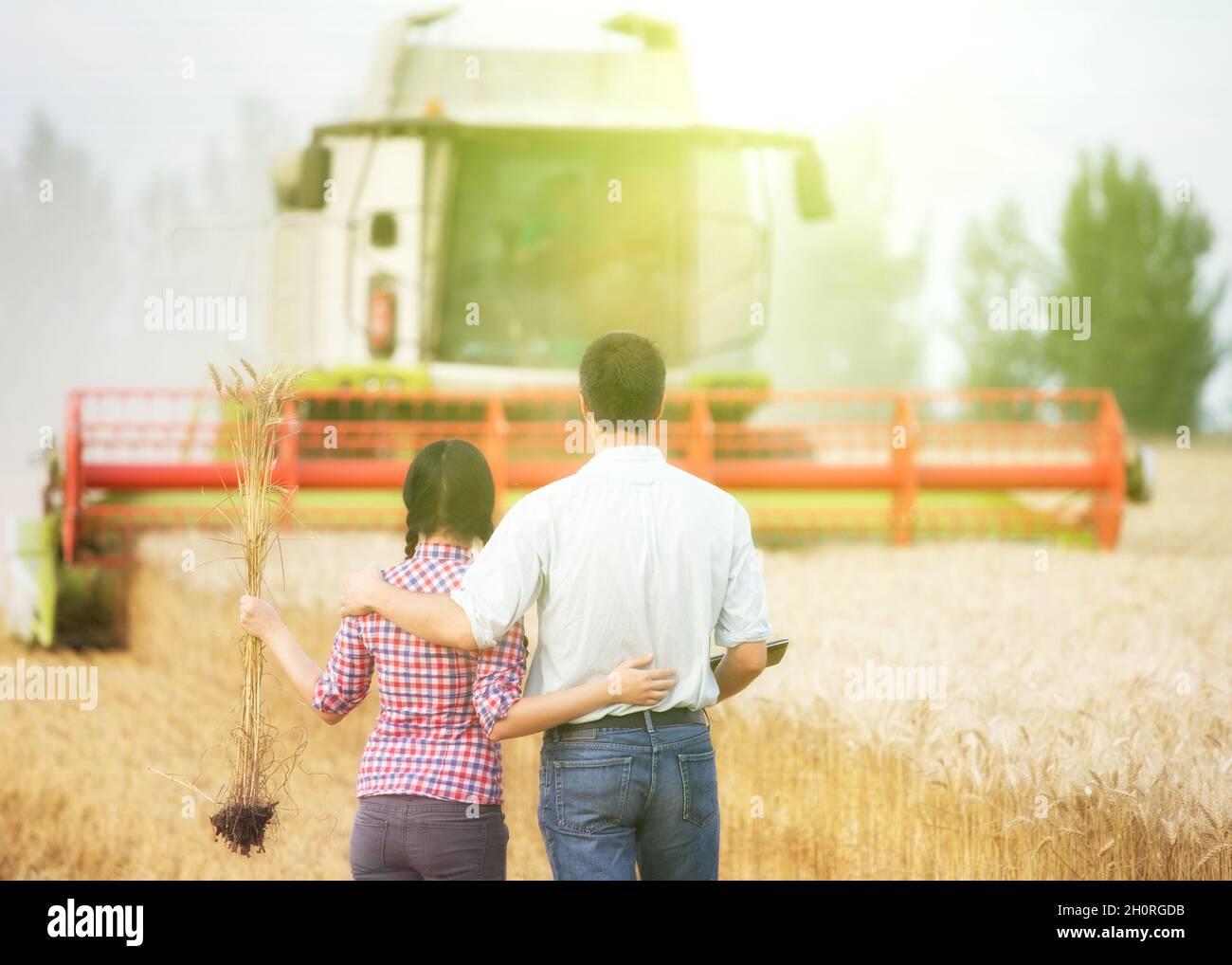 Young couple in hug standing on wheat field and looking at combine ...