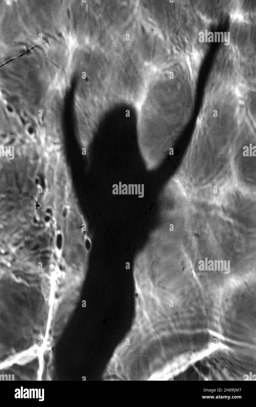 Shadow theory hi-res stock photography and images - Alamy