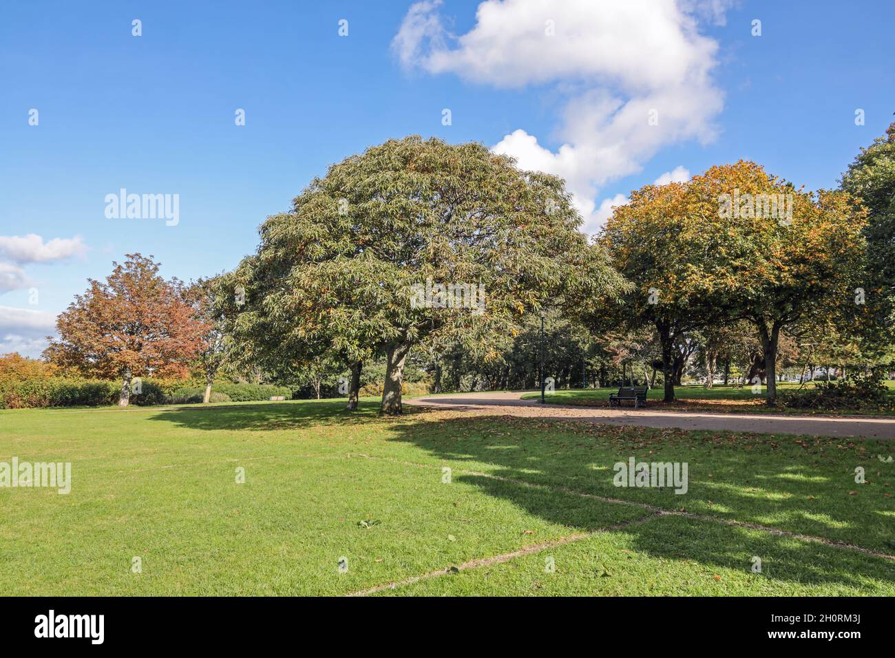 Devonport Park in Plymouth is often refered to as the Peoples Park ...
