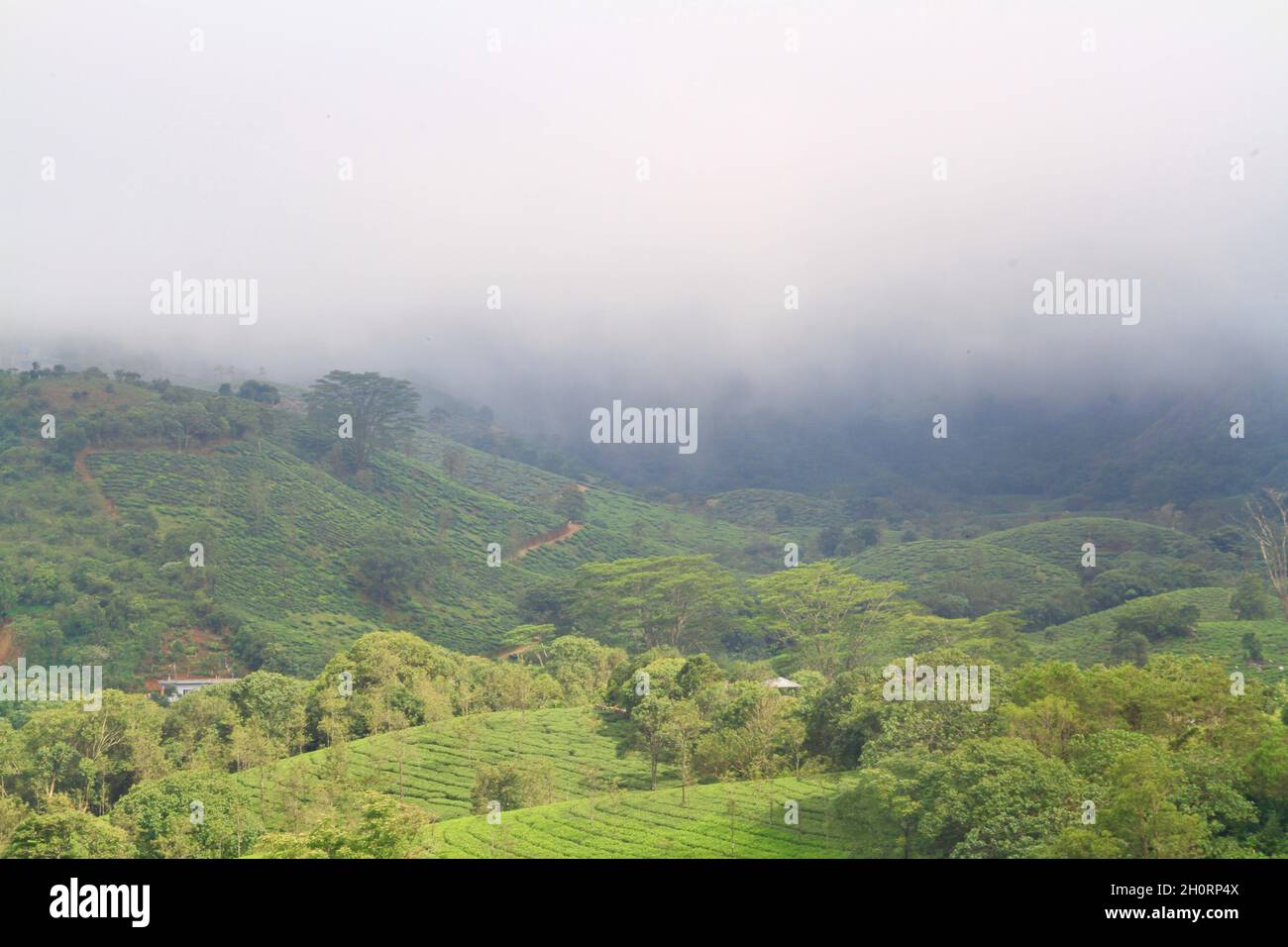 Vagamon hi-res stock photography and images - Alamy
