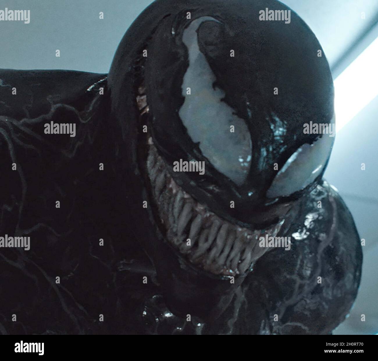 VENOM: LET THERE BE CARNAGE (2021) TOM HARDY ANDY SERKIS (DIR) SONY ...