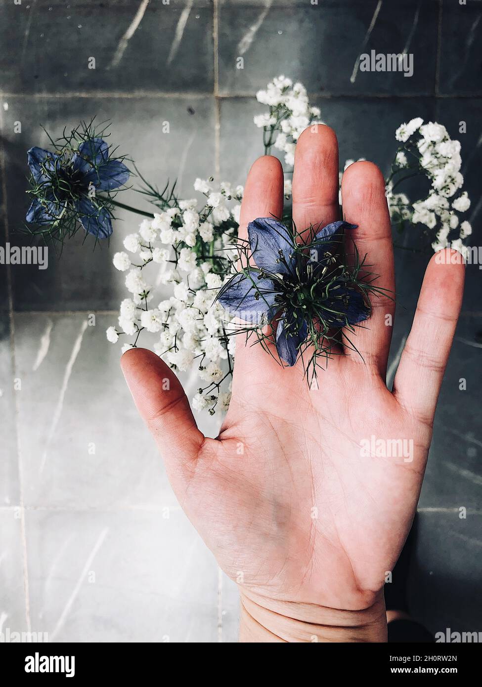 Overhead view of a person's hand holding a flower from a floral display ...