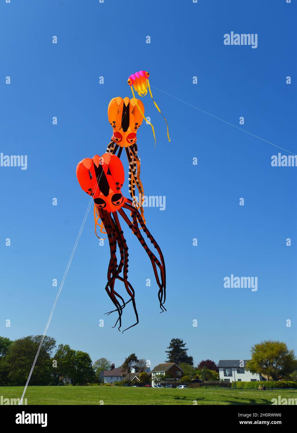 Blue kite park traditional hi-res stock photography and images - Alamy