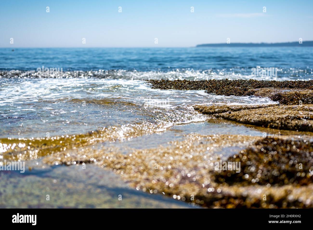 Tide refreshing pools at the oceanfront of Wonderland Trail Acadia ...