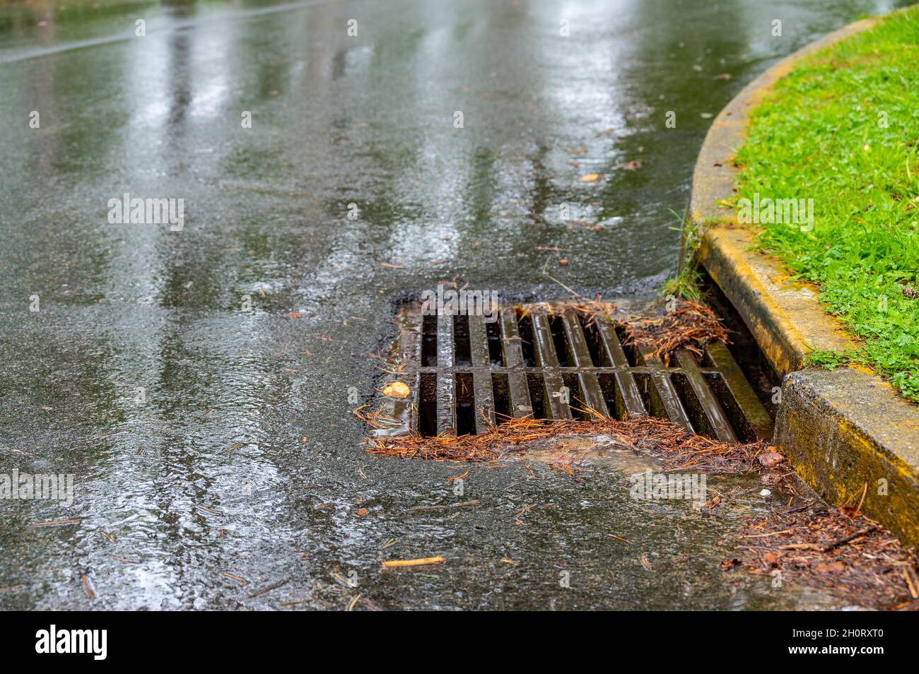 Metal storm drain during a rain event with leaves and needles starting ...