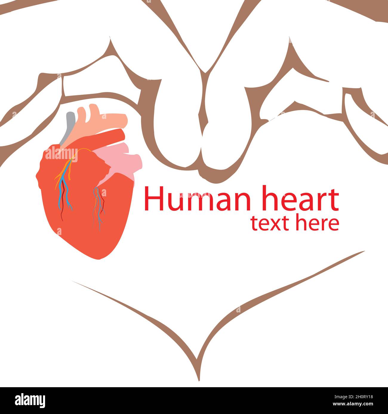 Human heart illustration hi-res stock photography and images - Alamy