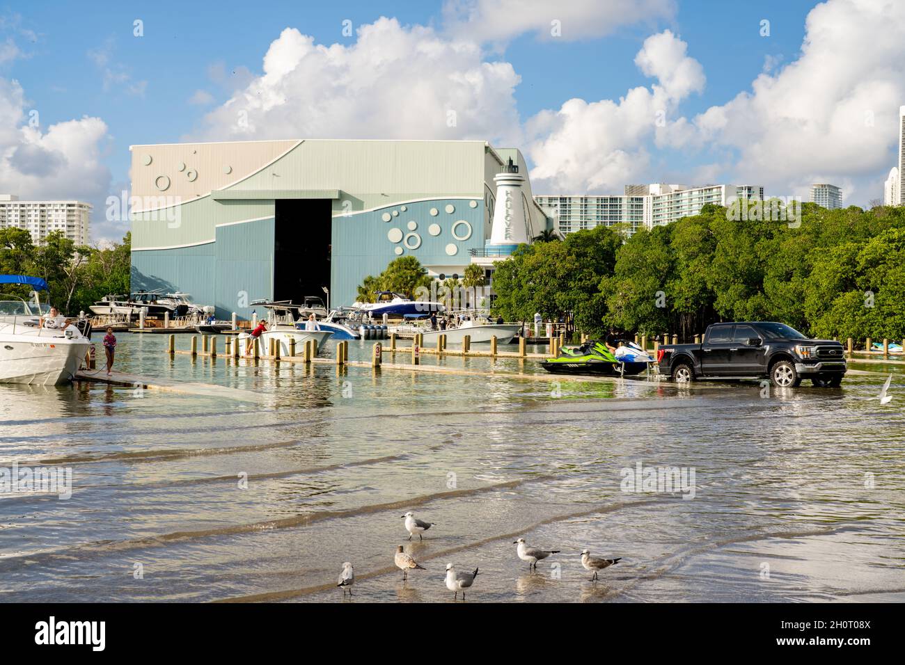 Haulover marina hi-res stock photography and images - Alamy