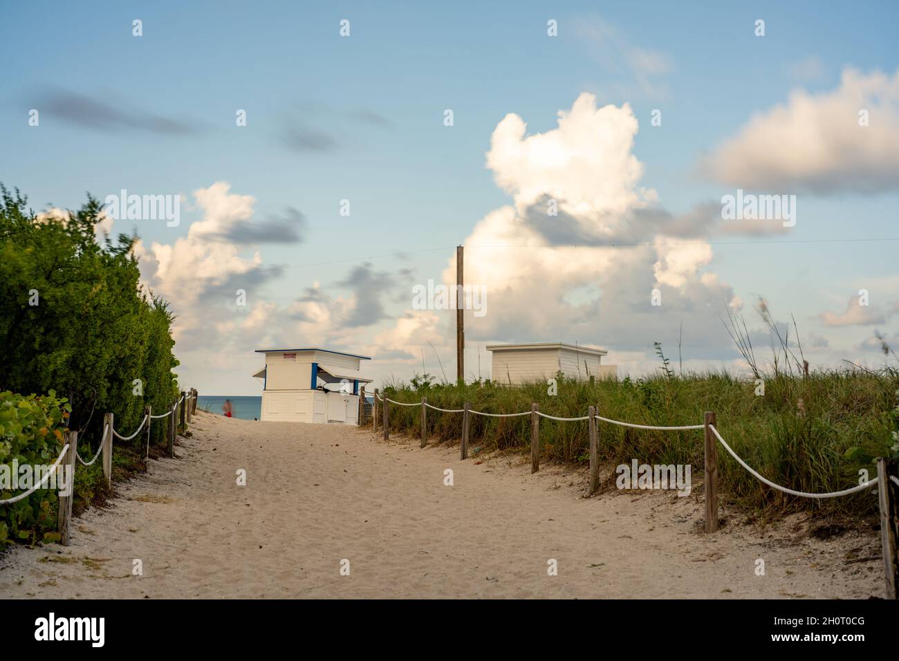 Slight motion blur hi-res stock photography and images - Alamy