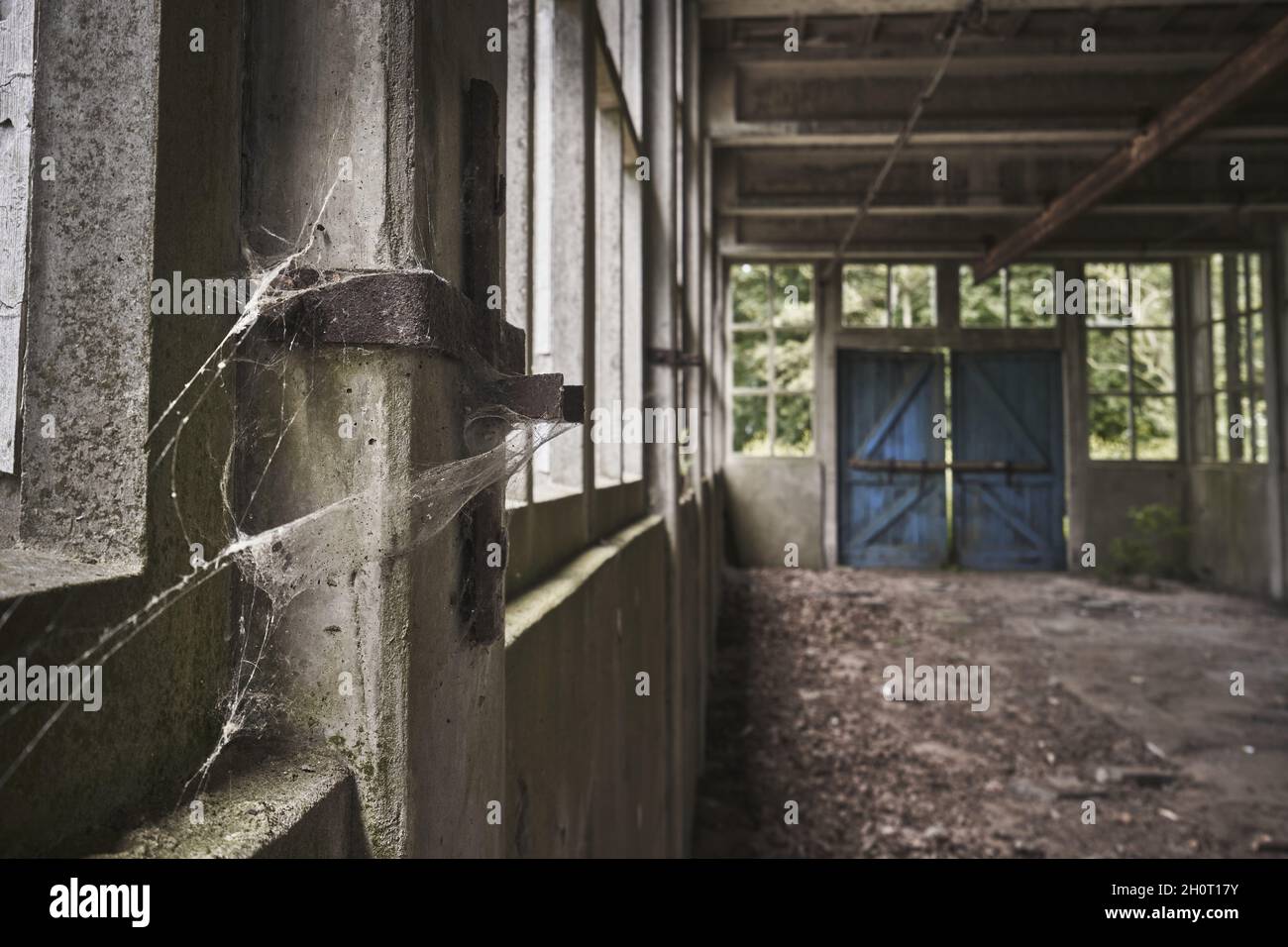 Old abandoned creepy building with walls covered with a spider web and ...