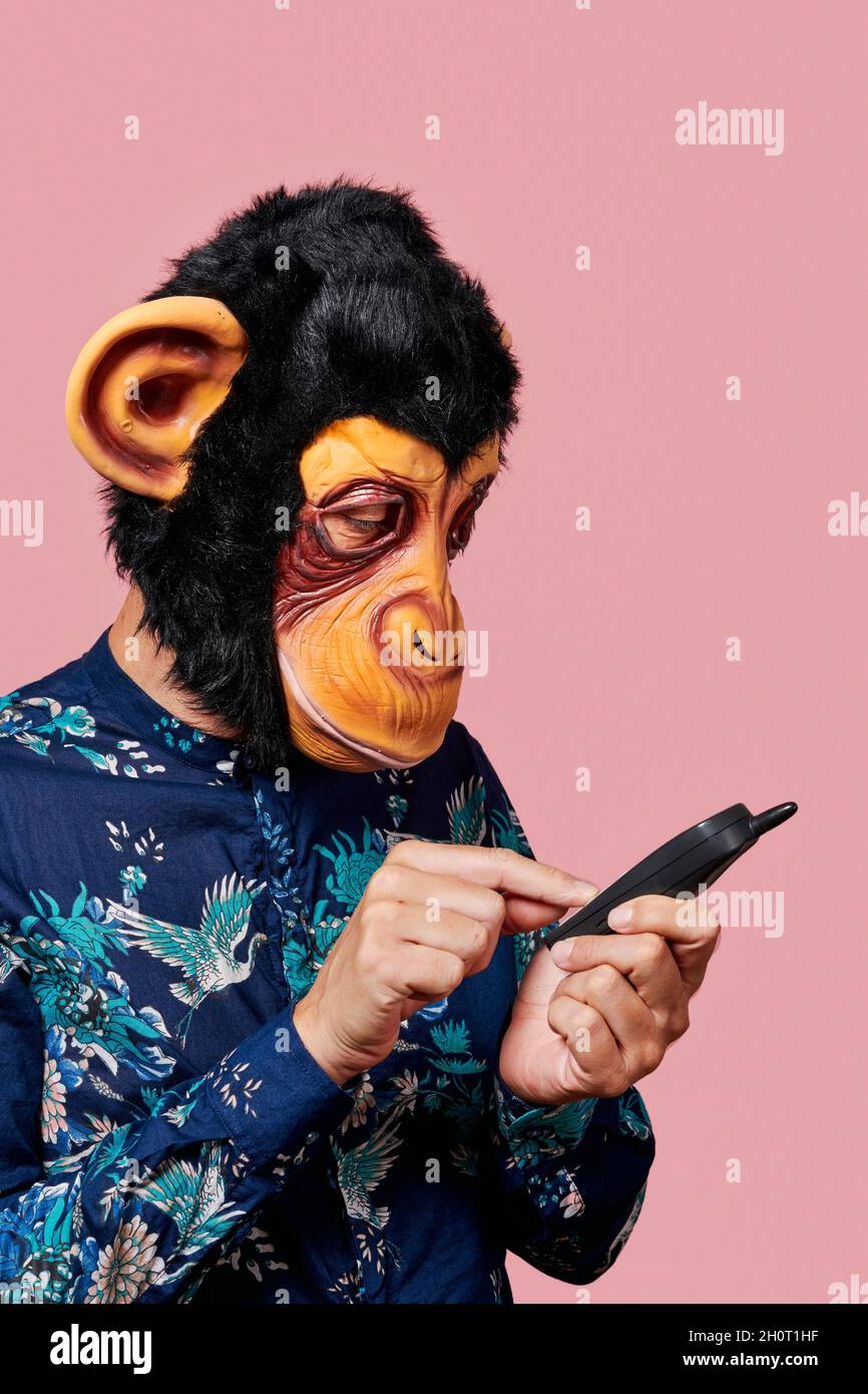 Monkey calling hi-res stock photography and images - Alamy