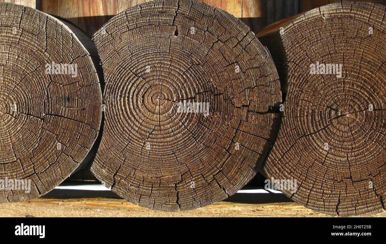 The cuts of old log tree close up. Part of old wooden house Stock Photo ...