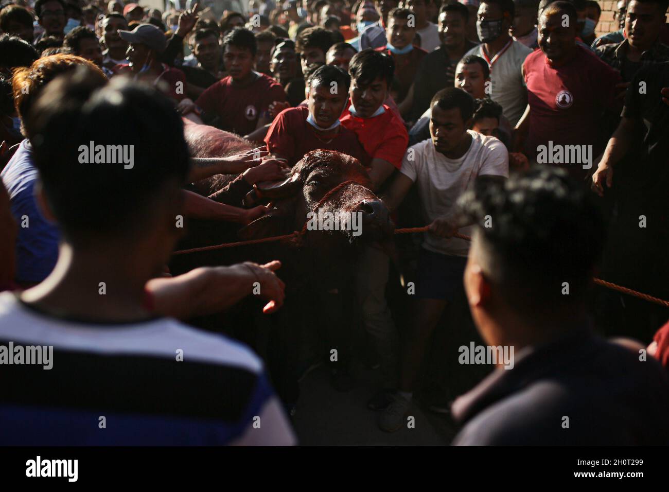 Dashain festival in nepal 24 hi-res stock photography and images - Alamy