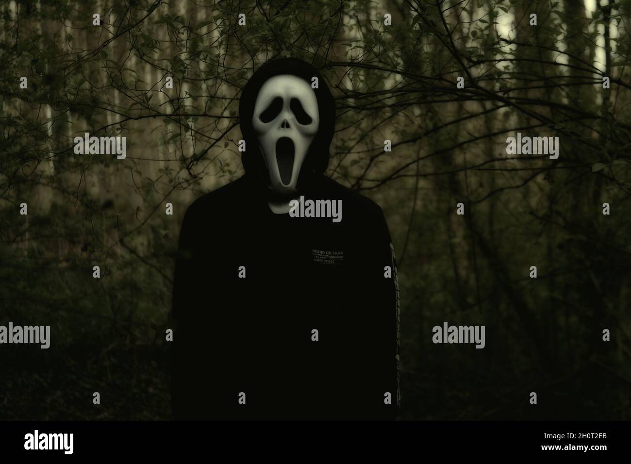 scary man standing in the woods with a white mask Stock Photo - Alamy