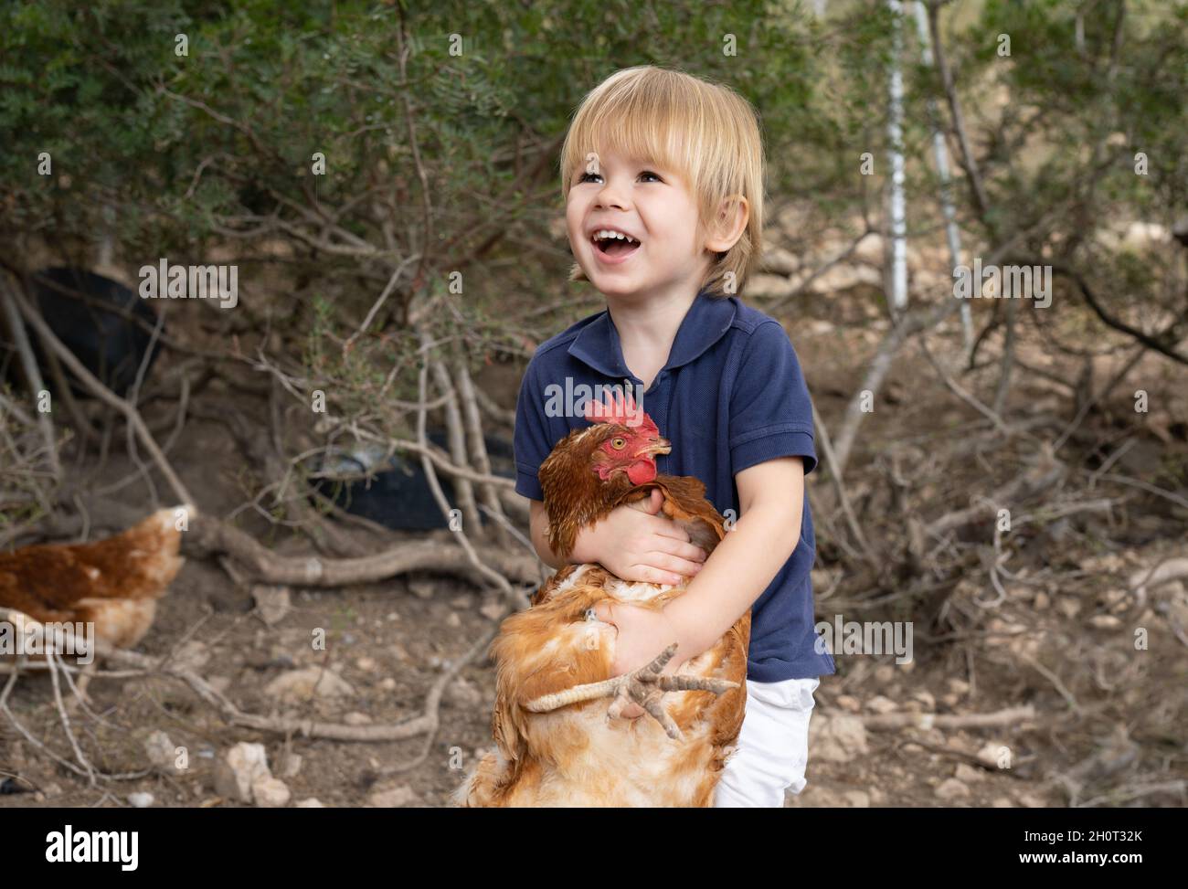 Cute little boy holding a chicken in his hands Stock Photo - Alamy