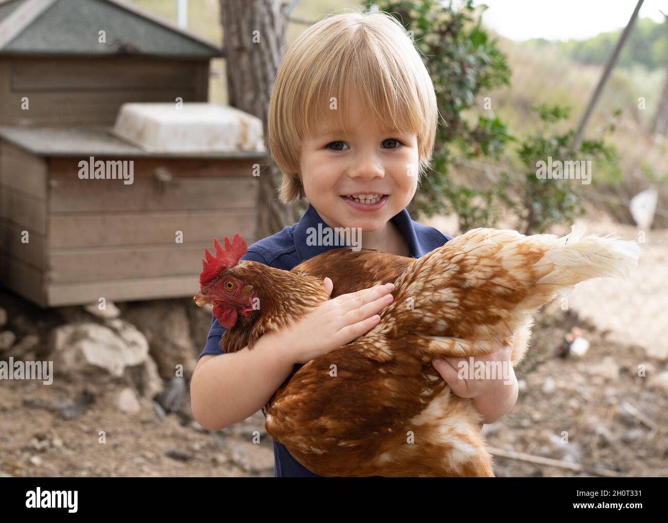 Cute little boy holding a chicken in his hands Stock Photo - Alamy