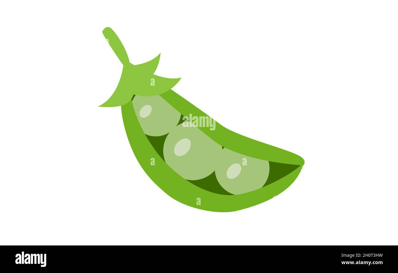 Sweet peas on white background Stock Vector Images - Alamy
