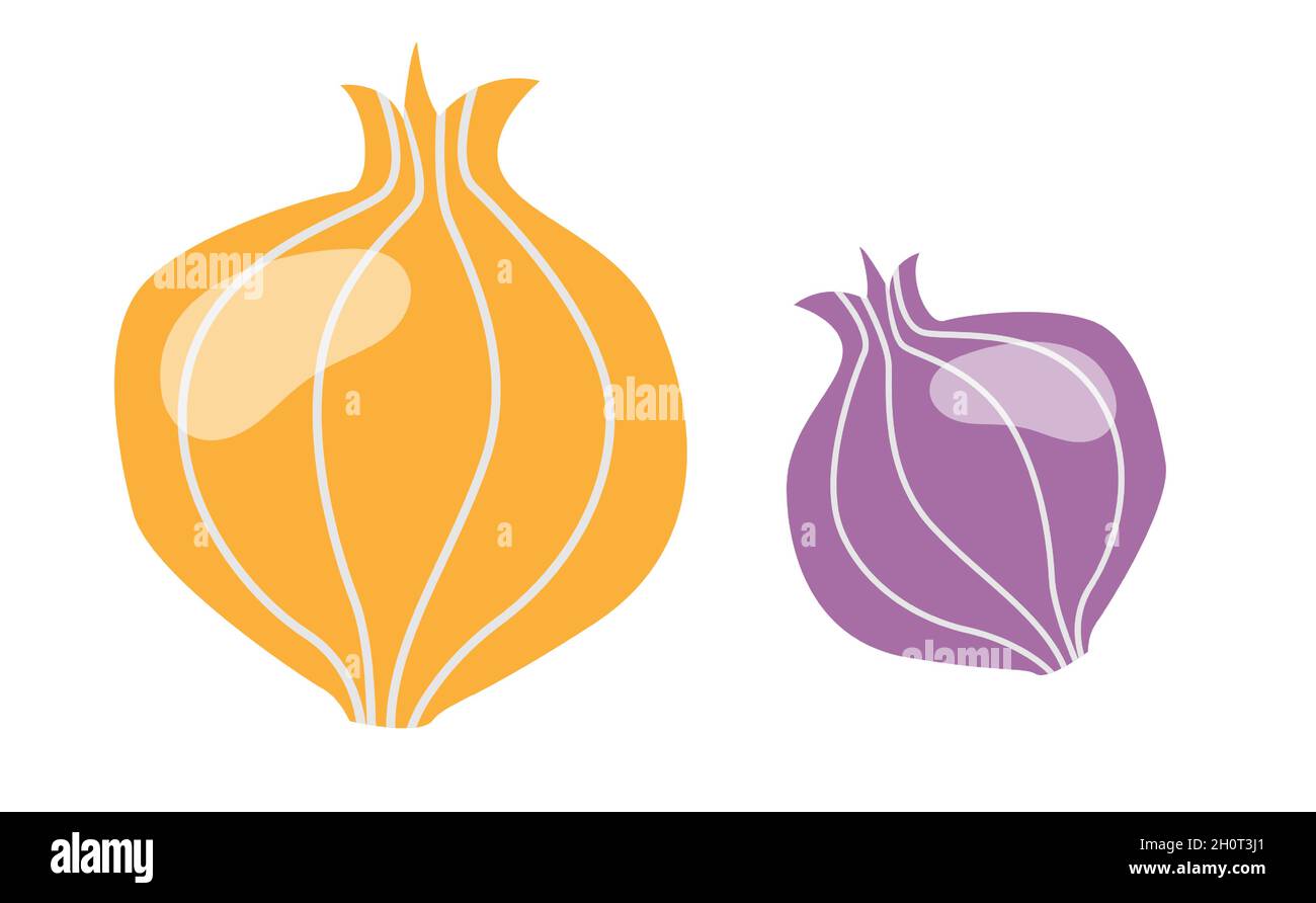 Yellow and red onion design isolated on white background EPS 10 Stock ...