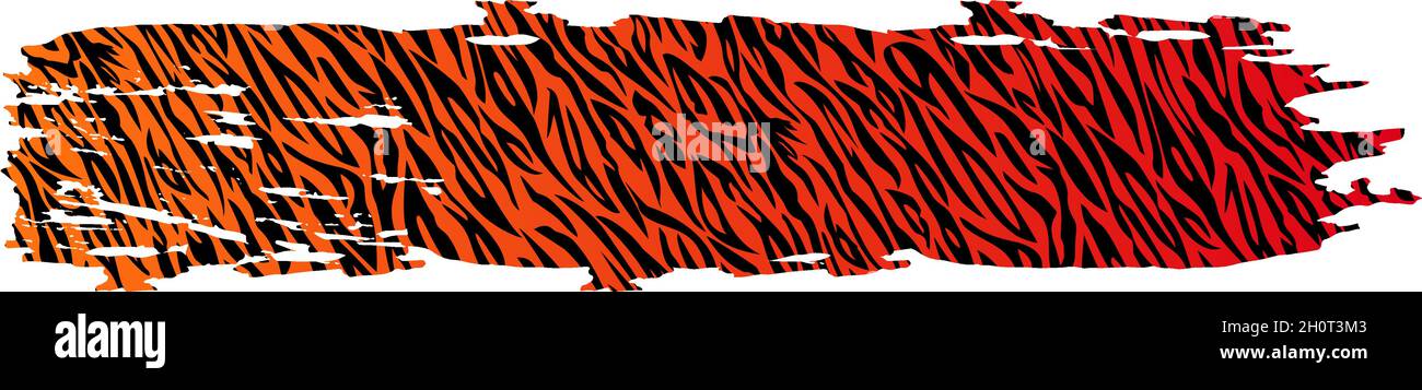 Vector Brush stroke with Tiger stripe pattern. Tiger background Stock ...