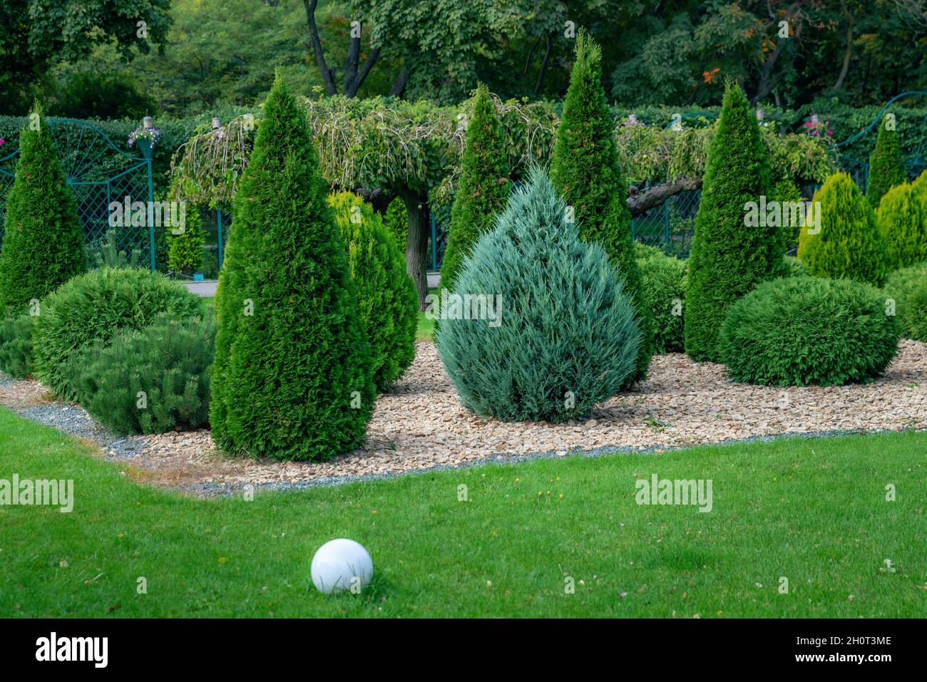 Android park hi-res stock photography and images - Alamy