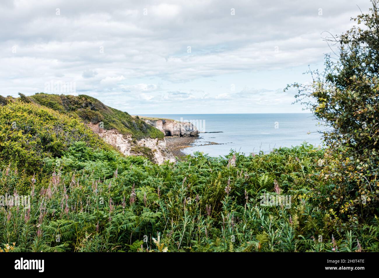 Noses point durham hi-res stock photography and images - Alamy