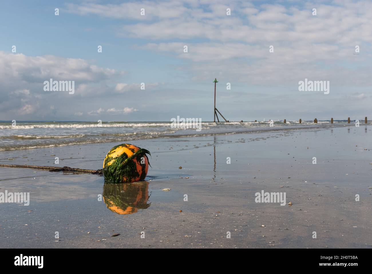Sandy Beach with groyns Stock Photo - Alamy