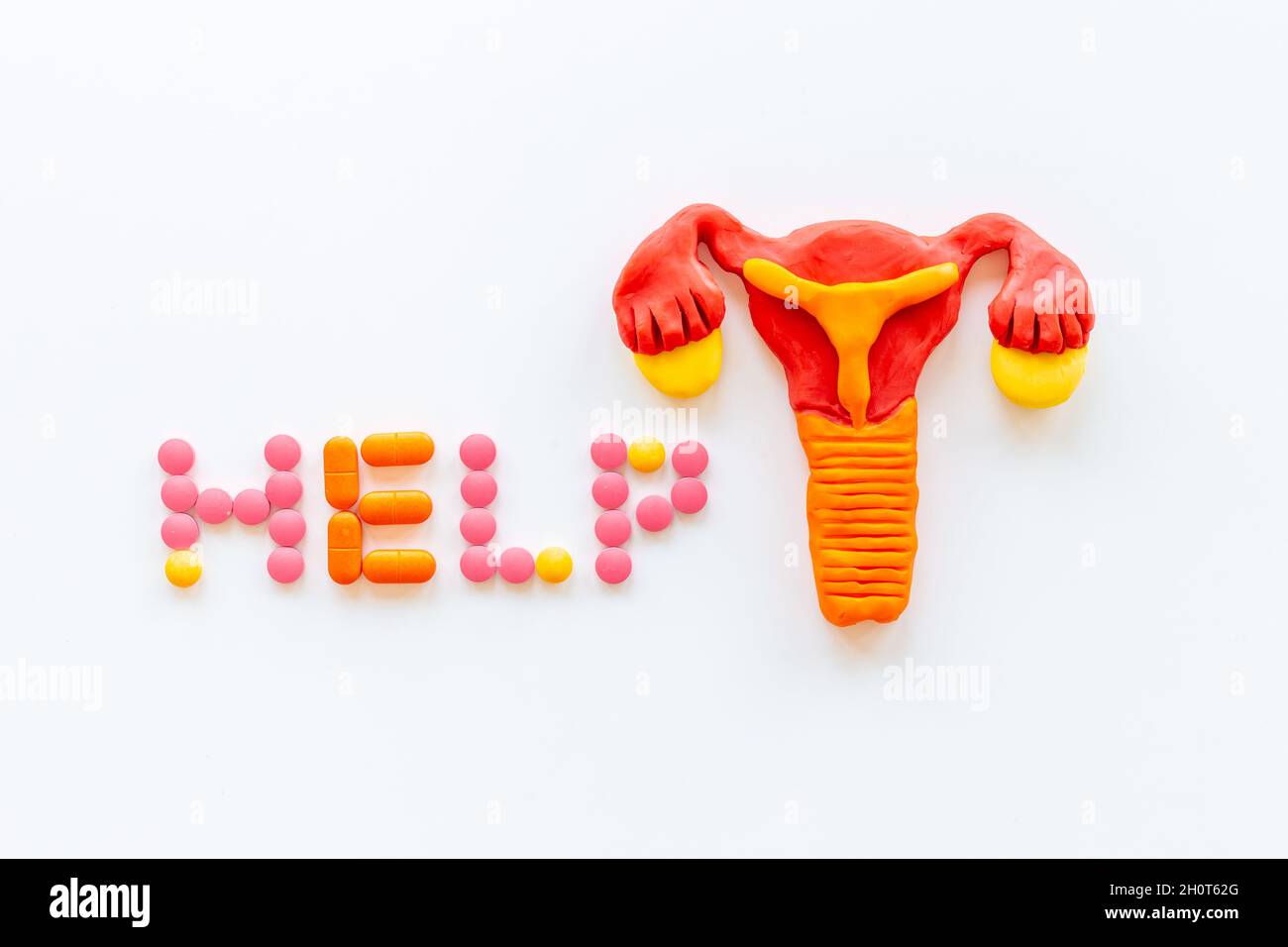 Female reproductive system model hi-res stock photography and images ...