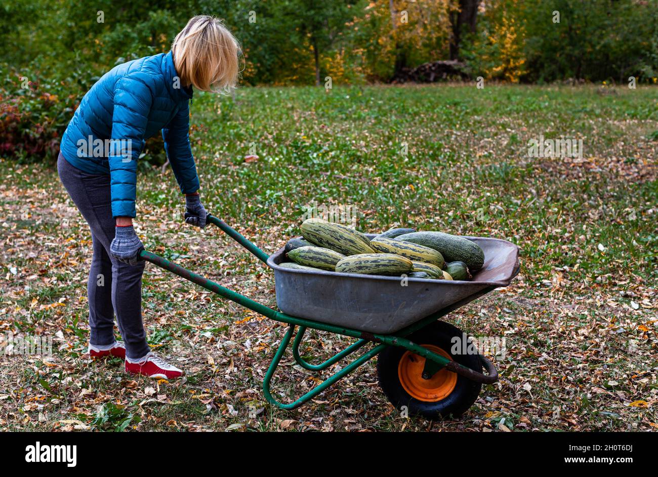 Wheelbarrow seat garden hi-res stock photography and images - Alamy