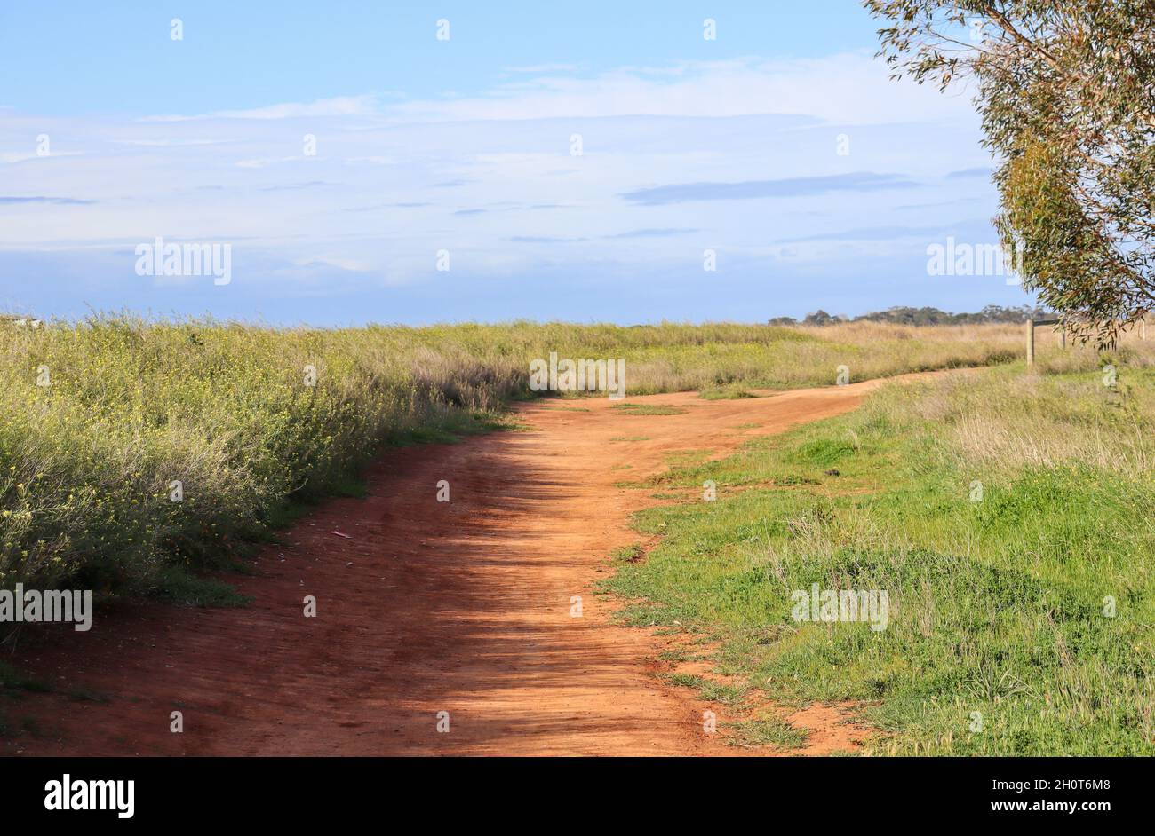 Natural view of an unpaved road between agricultural fields under a ...
