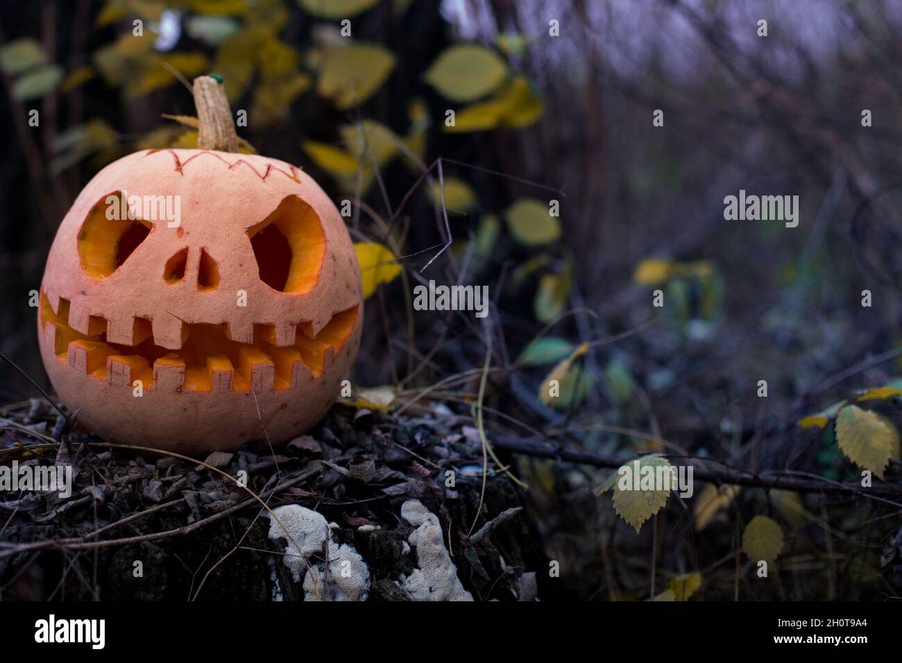 Pumpkin with carved eyes and mouth on the stump. Decor for Halloween ...