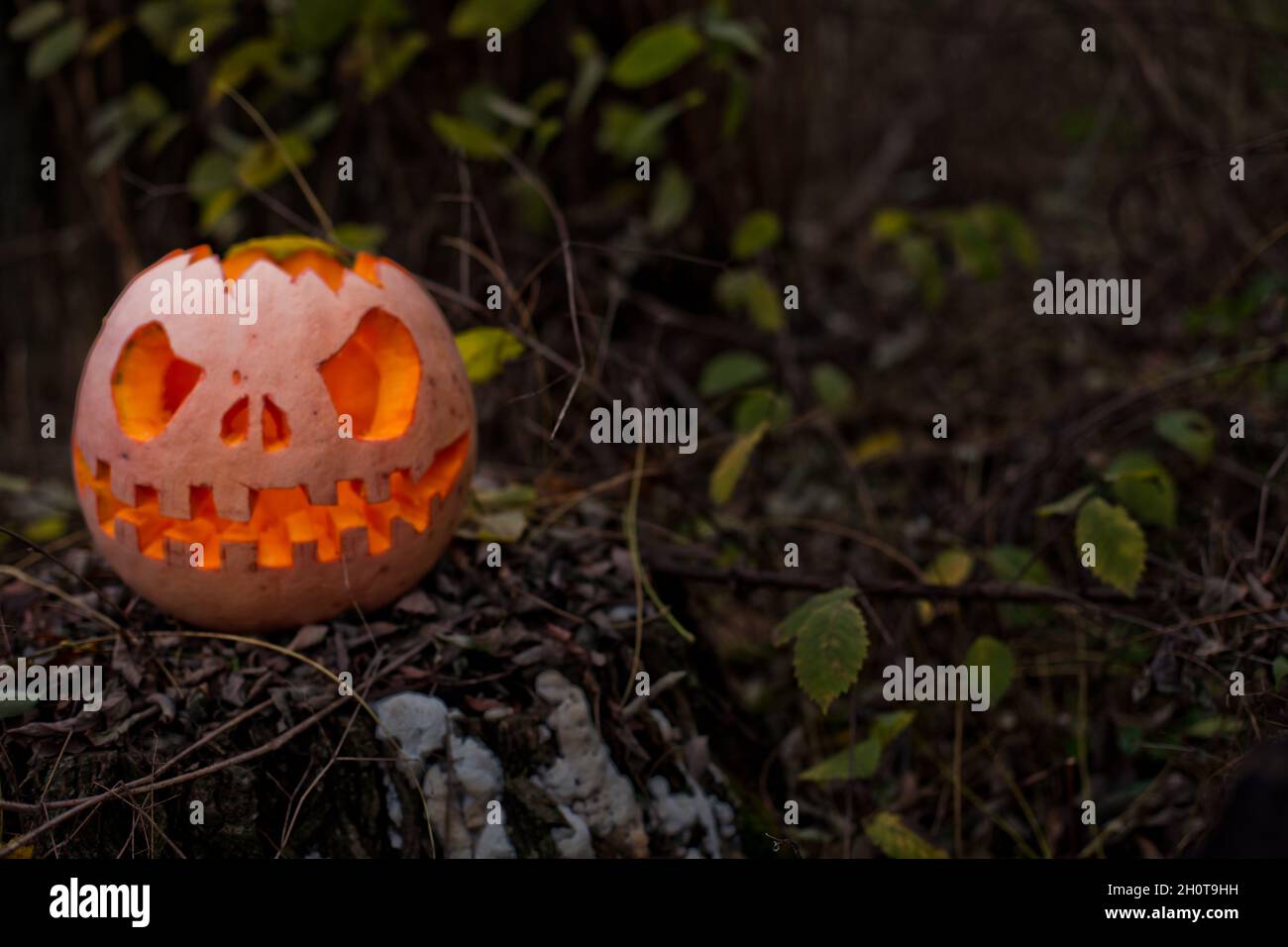 Pumpkin with carved eyes and mouth on the stump. Decor for Halloween ...