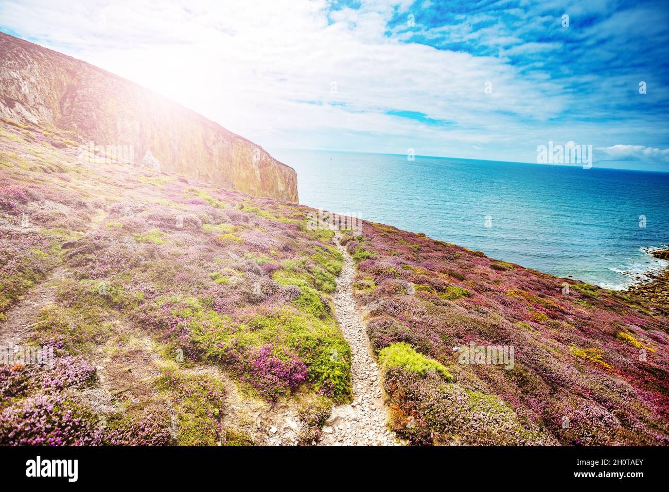 Pen Hir Point rock and meadows panorama Stock Photo - Alamy