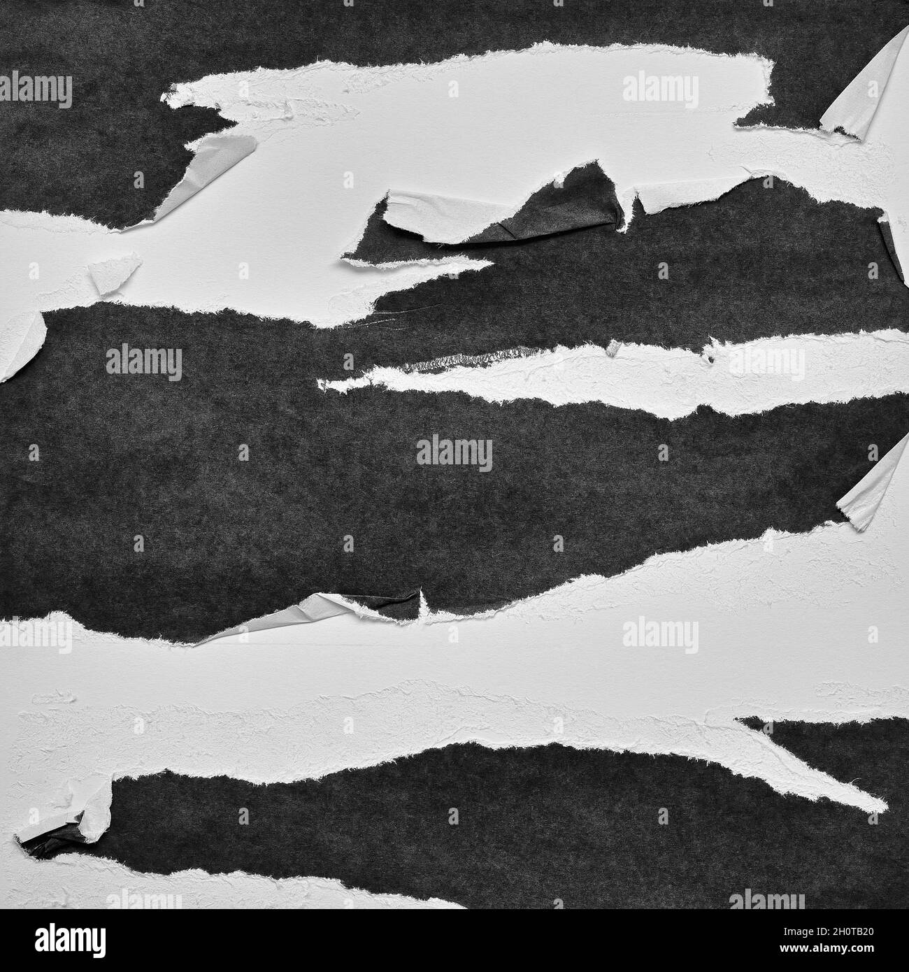 Black and White Torn Paper Collage Style, Ripped Paper Effect, Texture ...