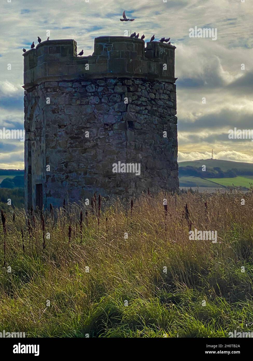 Doocot park hi-res stock photography and images - Alamy