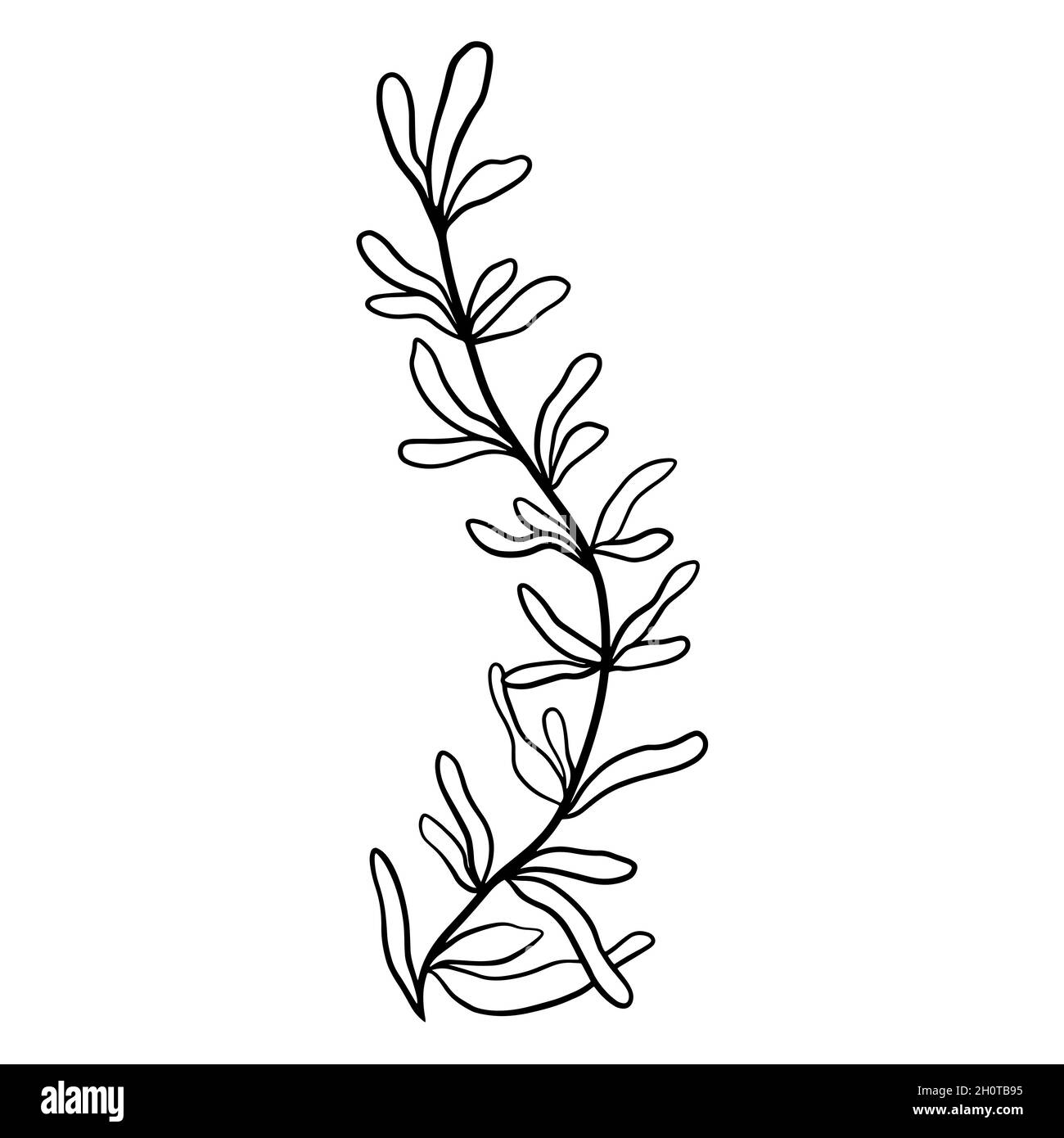 Graceful curved twig doodle vector illustration. Botanical element ...