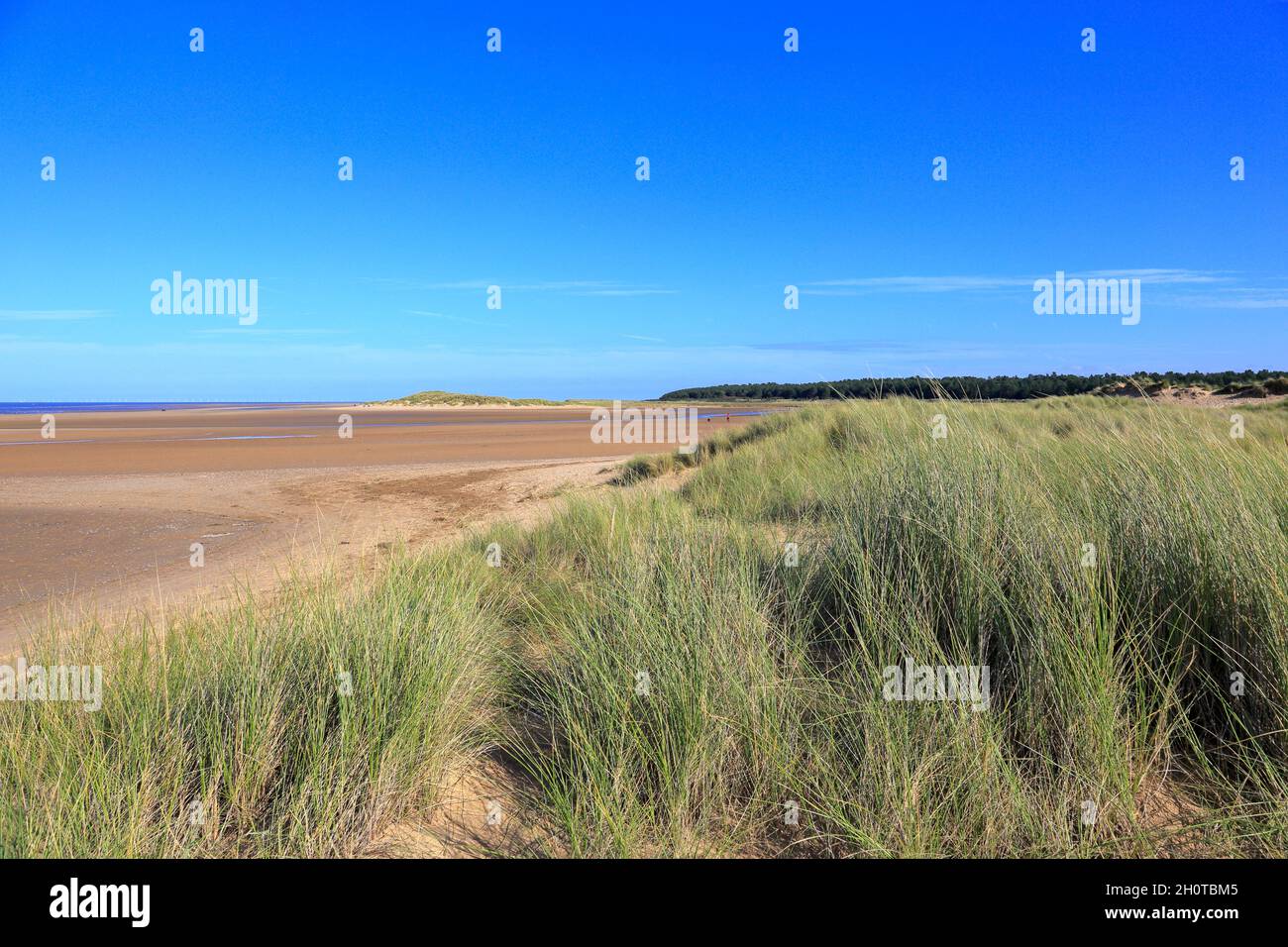 Sand dunes on Holkham beach at Holkham National Nature Reserve, Norfolk ...