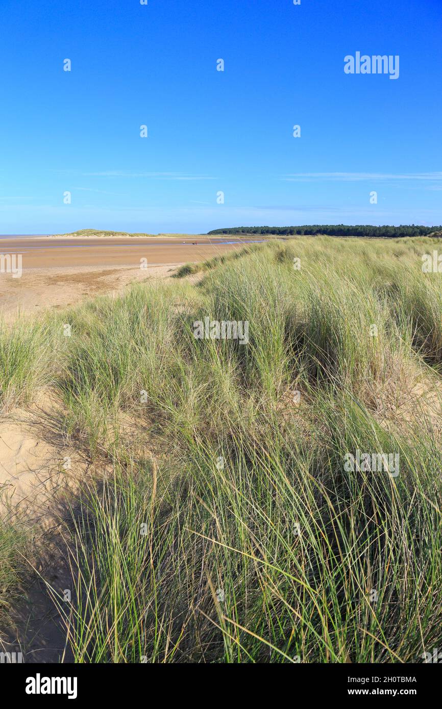 Sand dunes on Holkham beach at Holkham National Nature Reserve, Norfolk ...