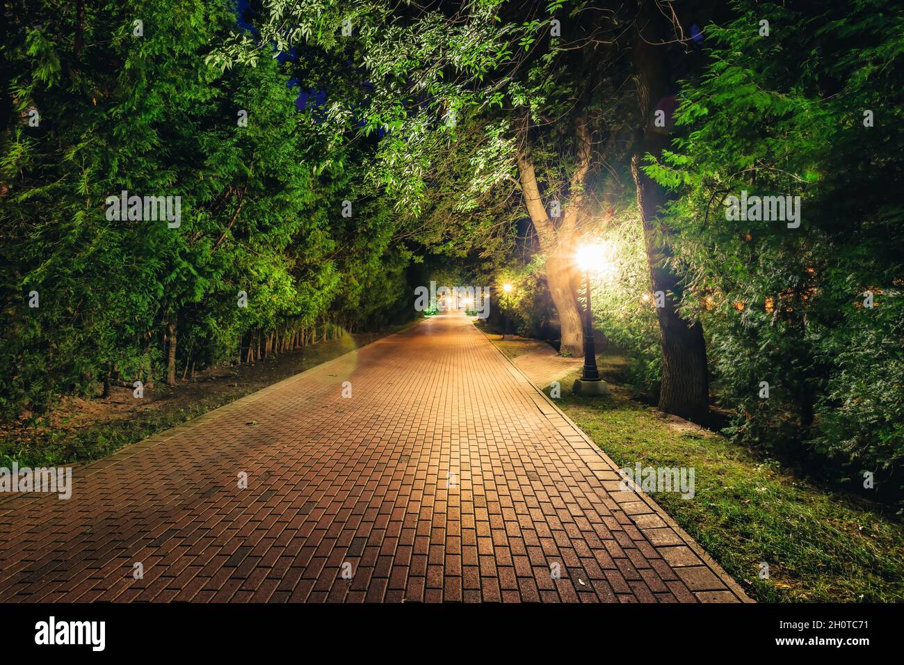 A night park lit by lanterns with a stone pavement, trees, fallen ...