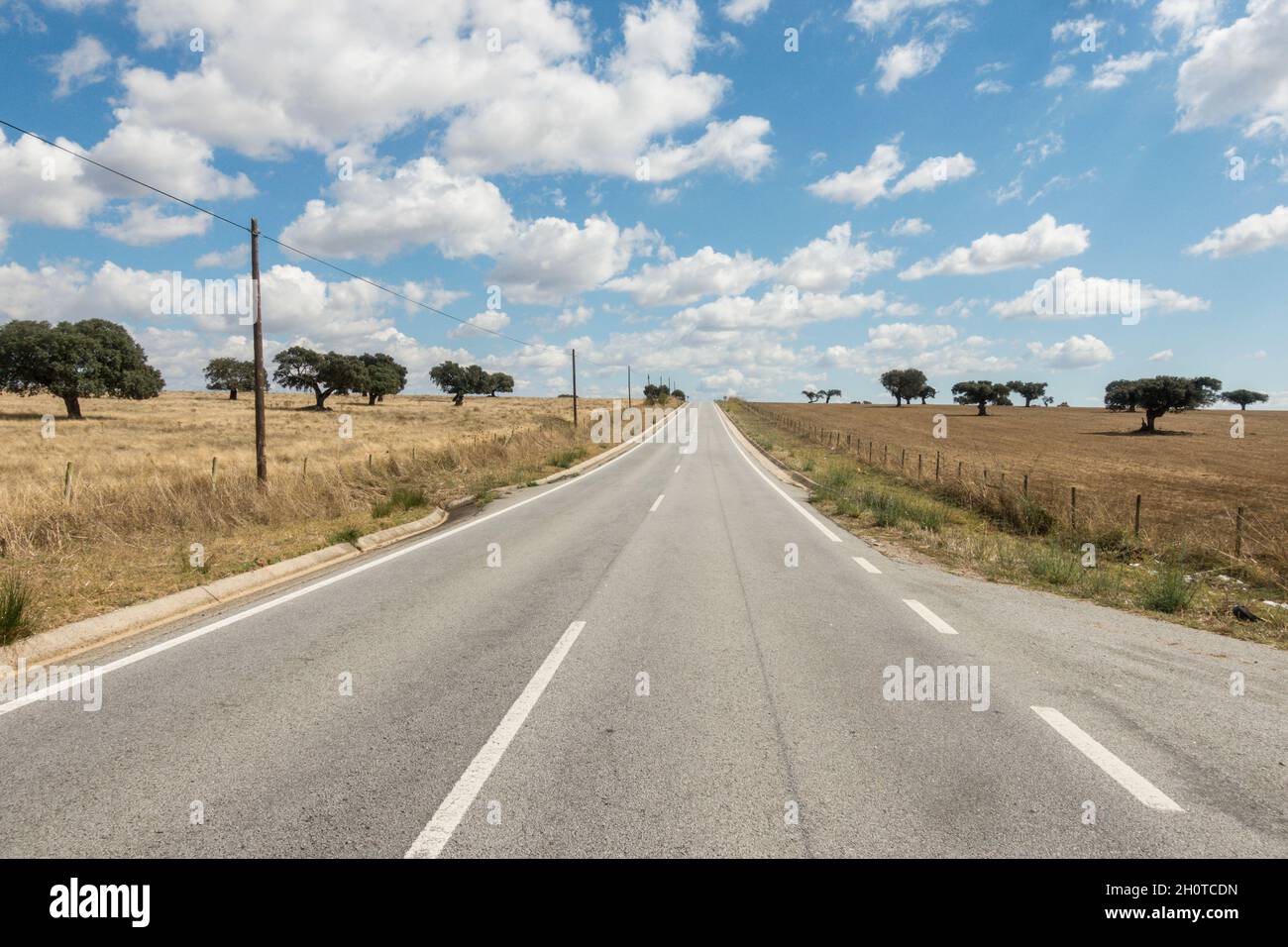 Endless road through farmland in Alentejo with cumulus clouds, region ...