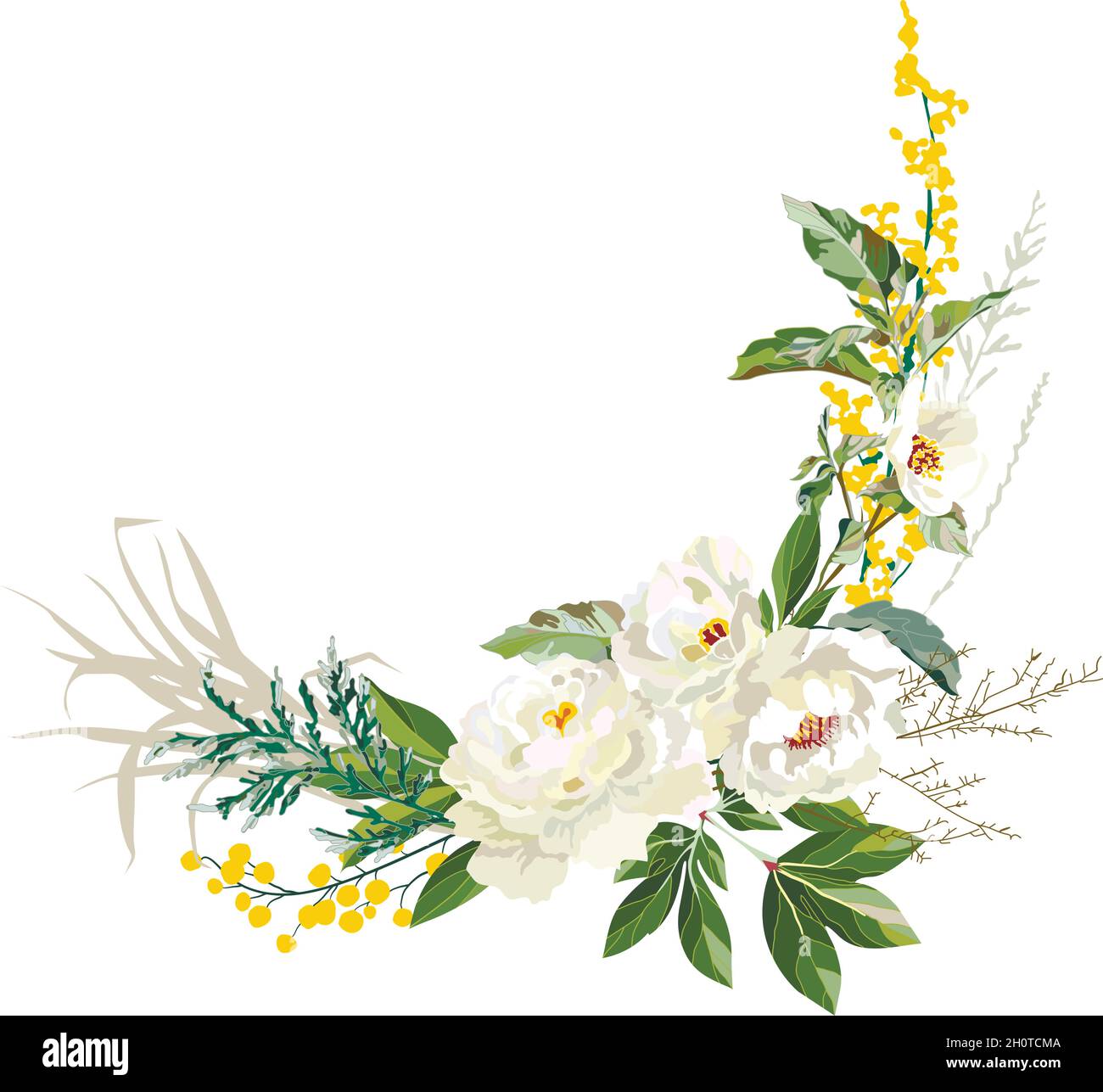 Bouquet of blooming white peonies. Decorative element for creating a ...