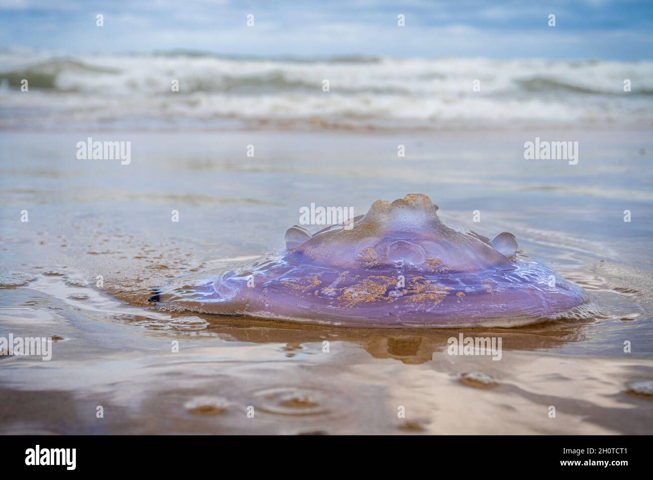 Object on the beach Stock Photo - Alamy