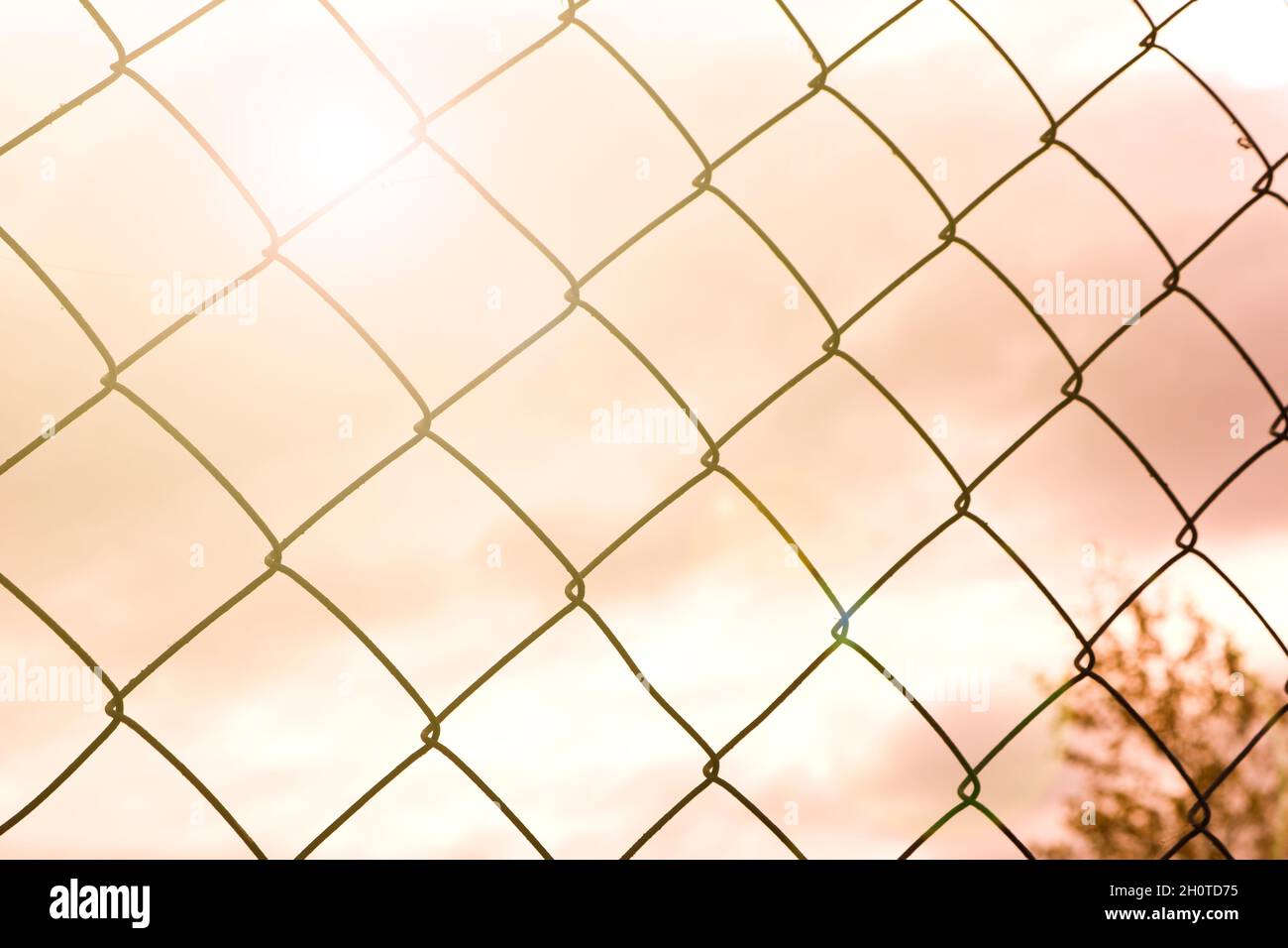 The texture of the metal mesh-netting against the background of the ...