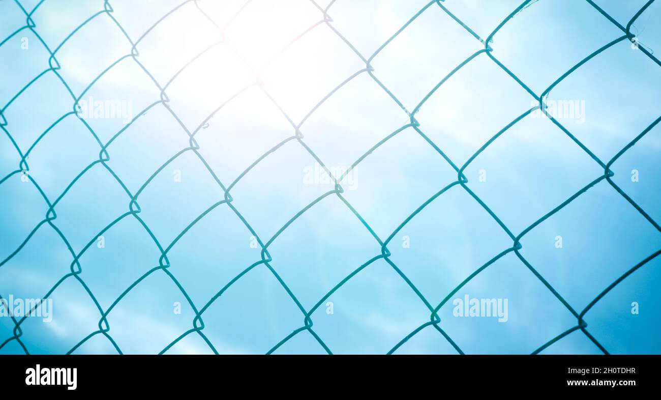The texture of the metal mesh-netting against the background of the ...
