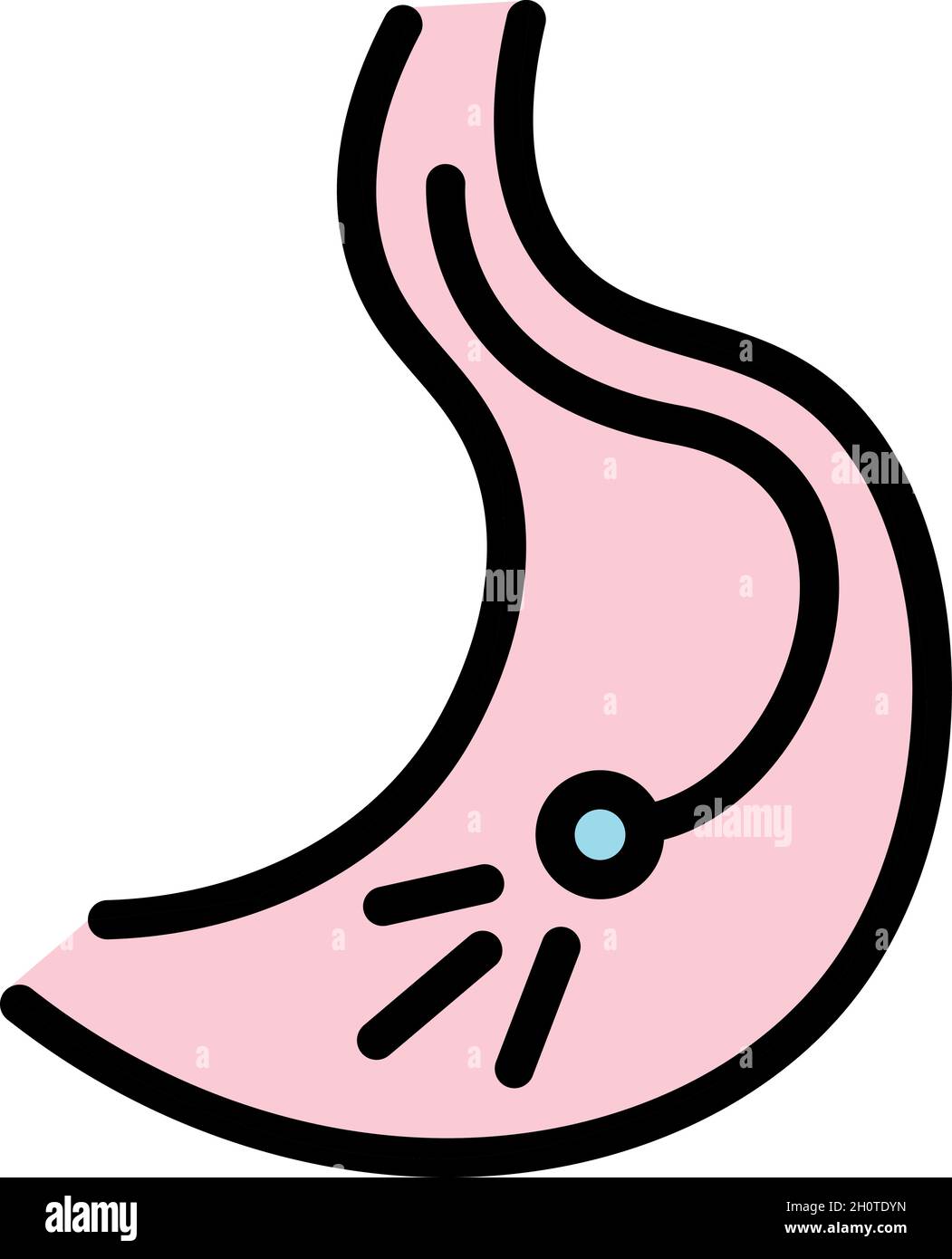 Endoscopy icon. Outline endoscopy vector icon color flat isolated Stock ...