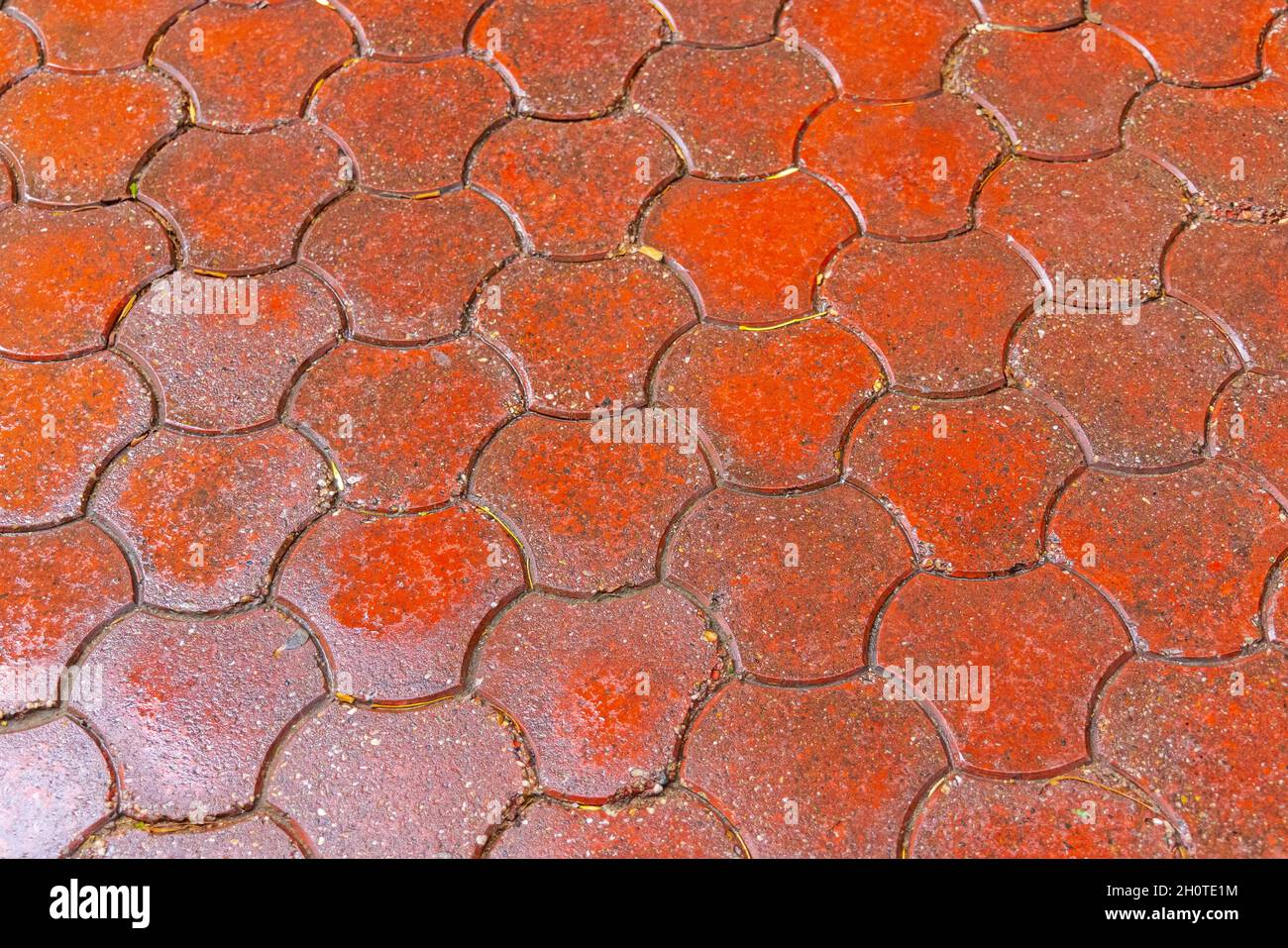 Wet Terracotta Floor TIles Garden Pavement Pattern Stock Photo - Alamy