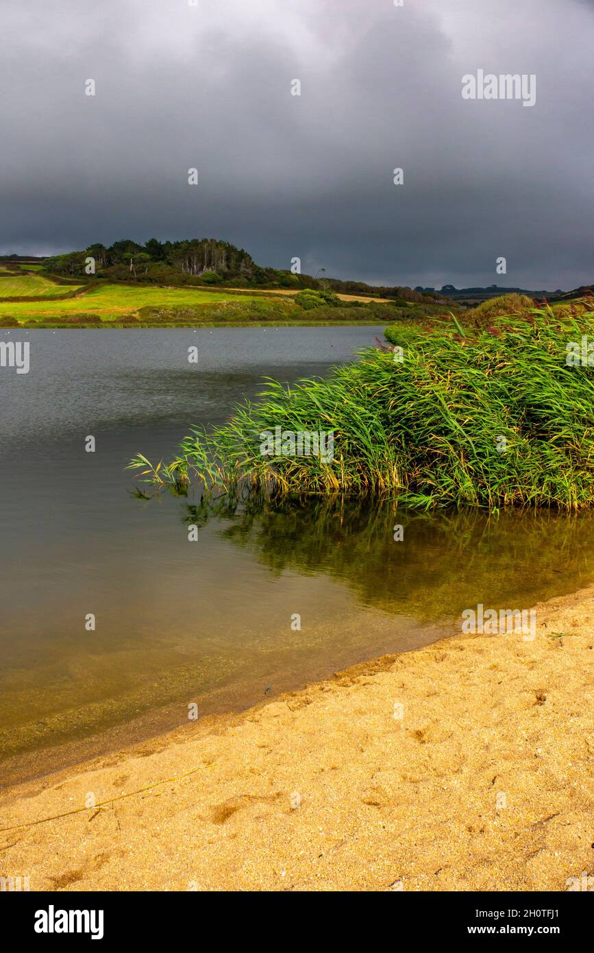 Summer view of The Loe, the largest natural lake on the Penrose Estate ...