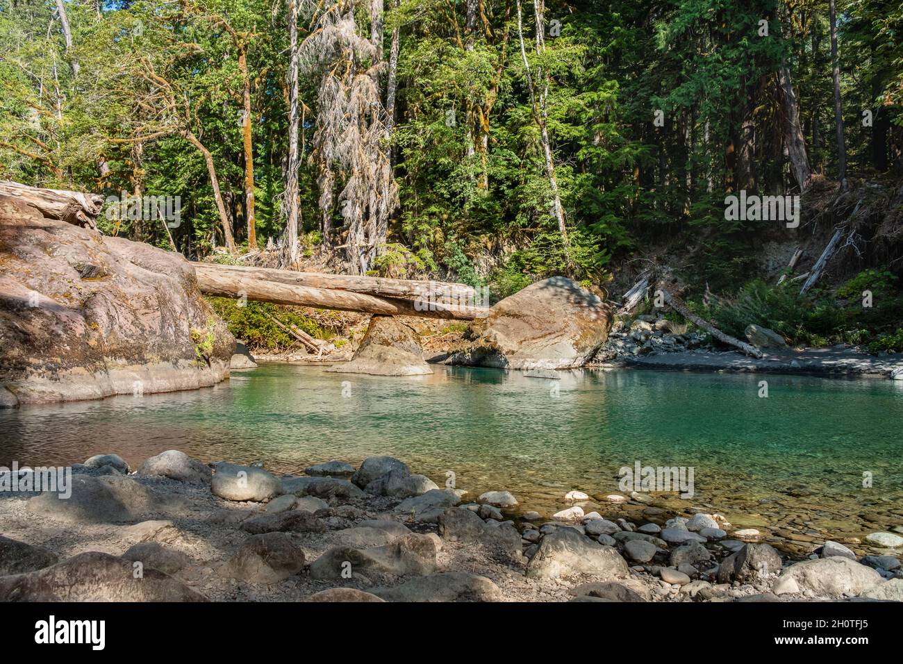 Staircase rapids loop trail hi-res stock photography and images - Alamy