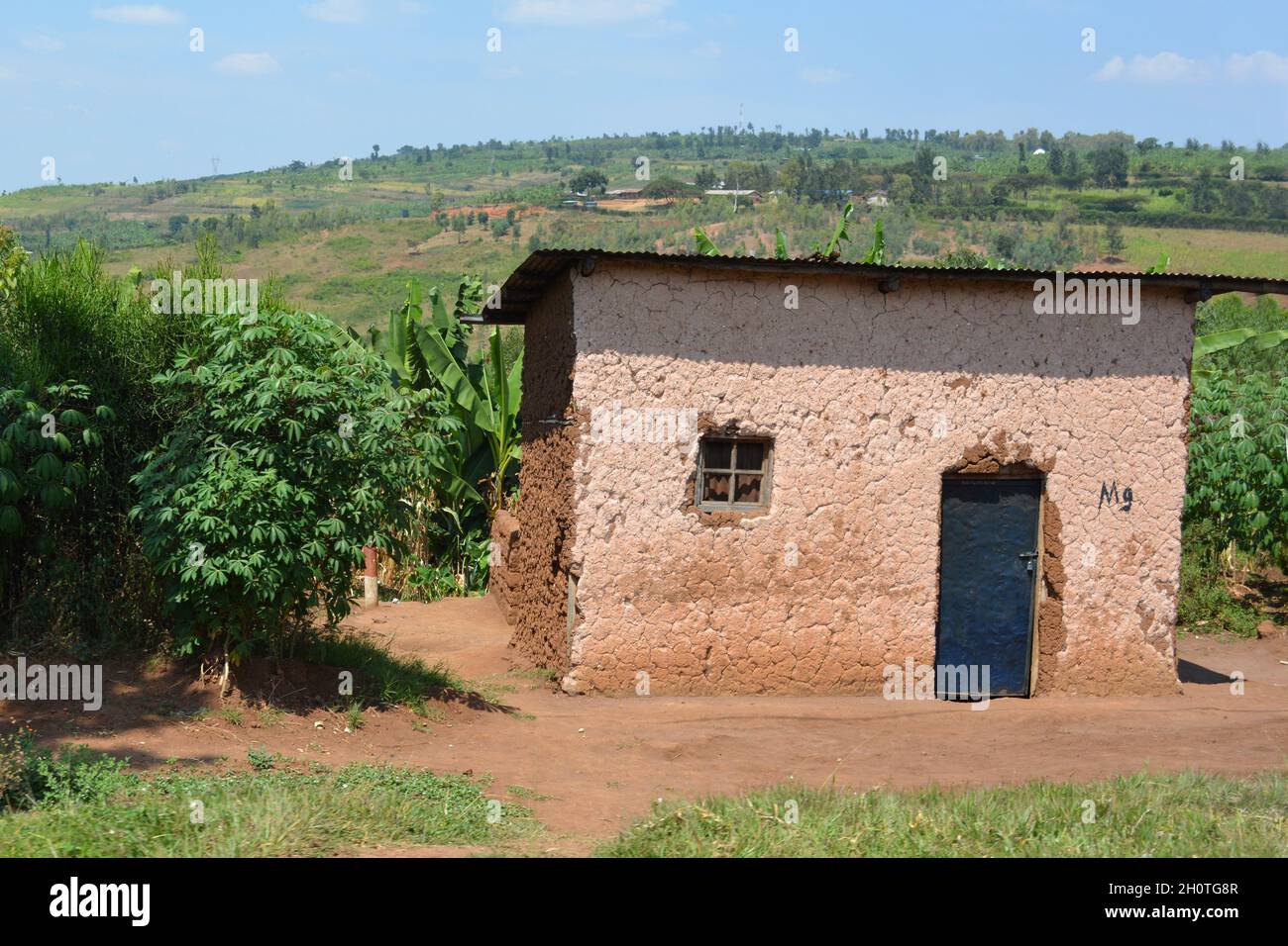 Banana trees in africa hi-res stock photography and images - Alamy