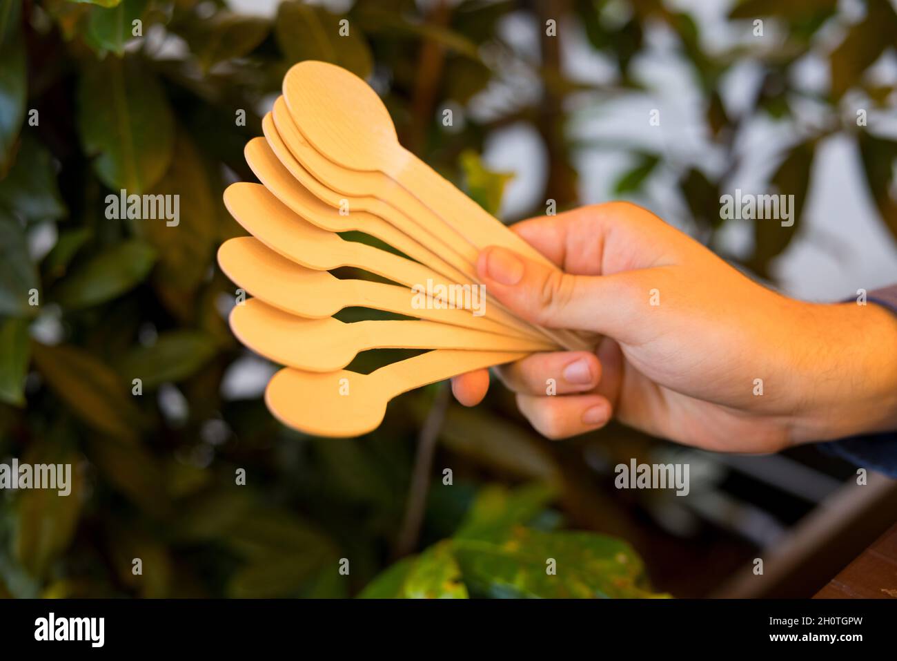 Hand holding wooden spoons Stock Photo - Alamy