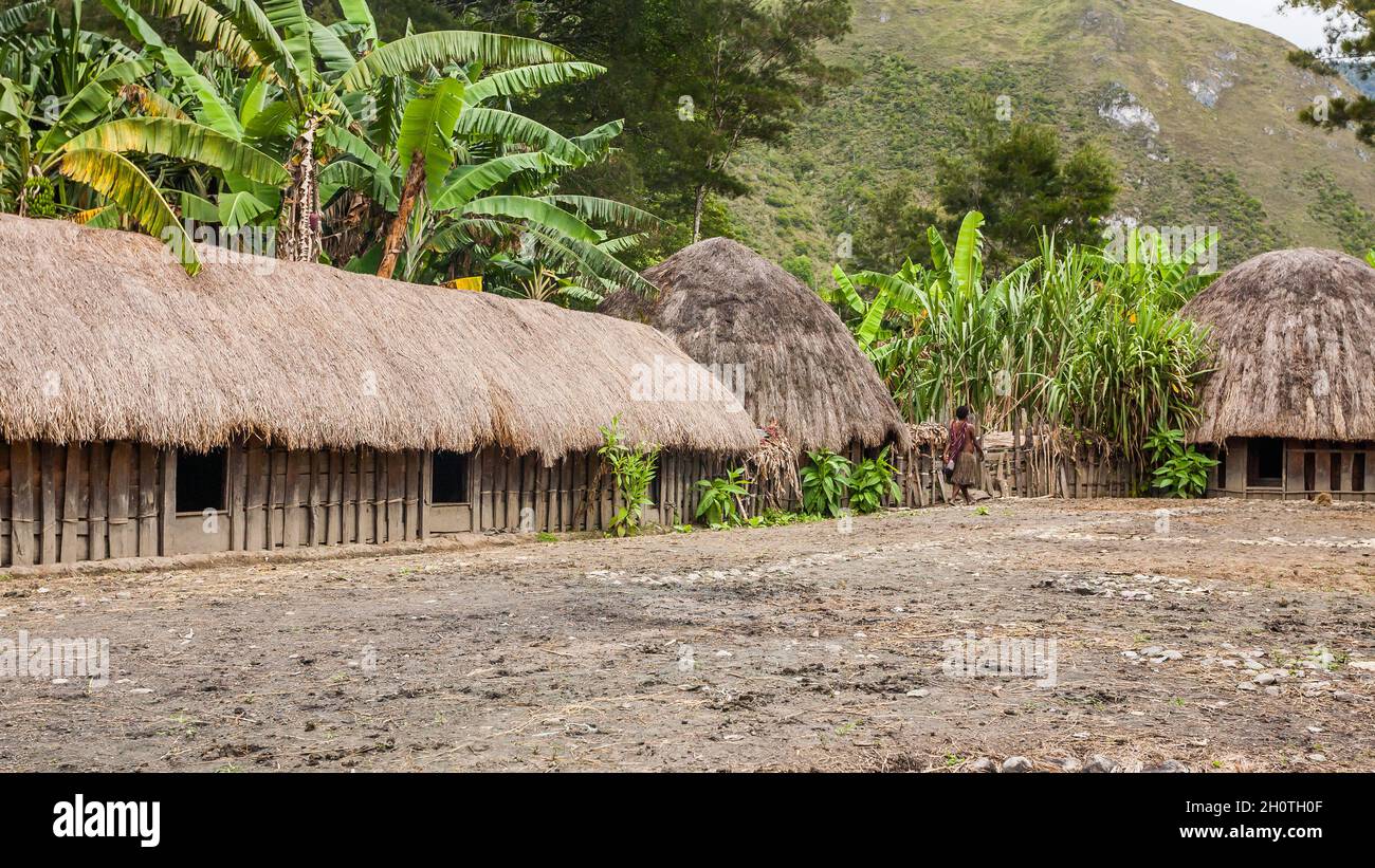 Traditional Dani village in Wamena, Indonesia Stock Photo - Alamy